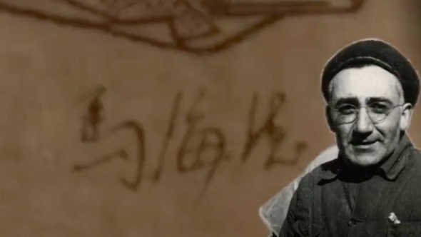 'Foreign Medical Consultant' George Hatem-China Story